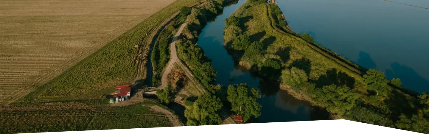 Help – Guides and Contacts | BUPi – Single Property Desk