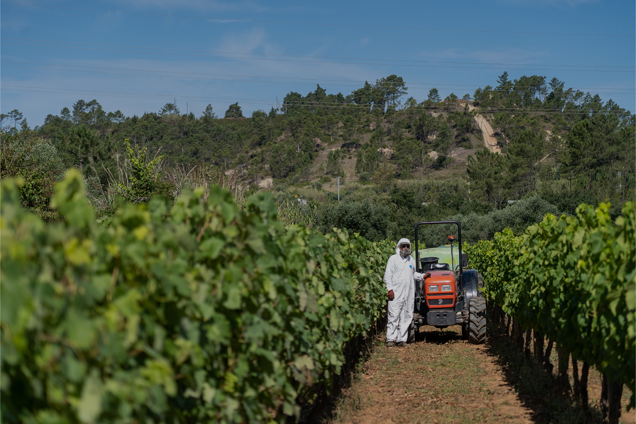 Passo a passo | BUPi - Balcão Único do Prédio